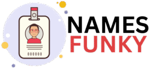 200+ Funny Drag Queen Names - Namesfunky